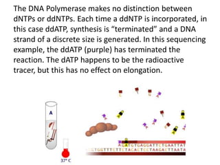 DNA Sequencing- Sanger's Method | PPTX