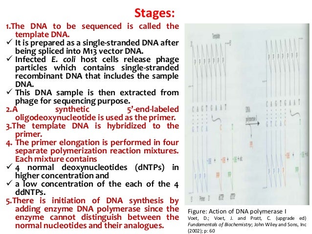 Dna sequencing