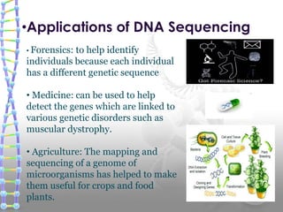 DNA sequencing | PPT