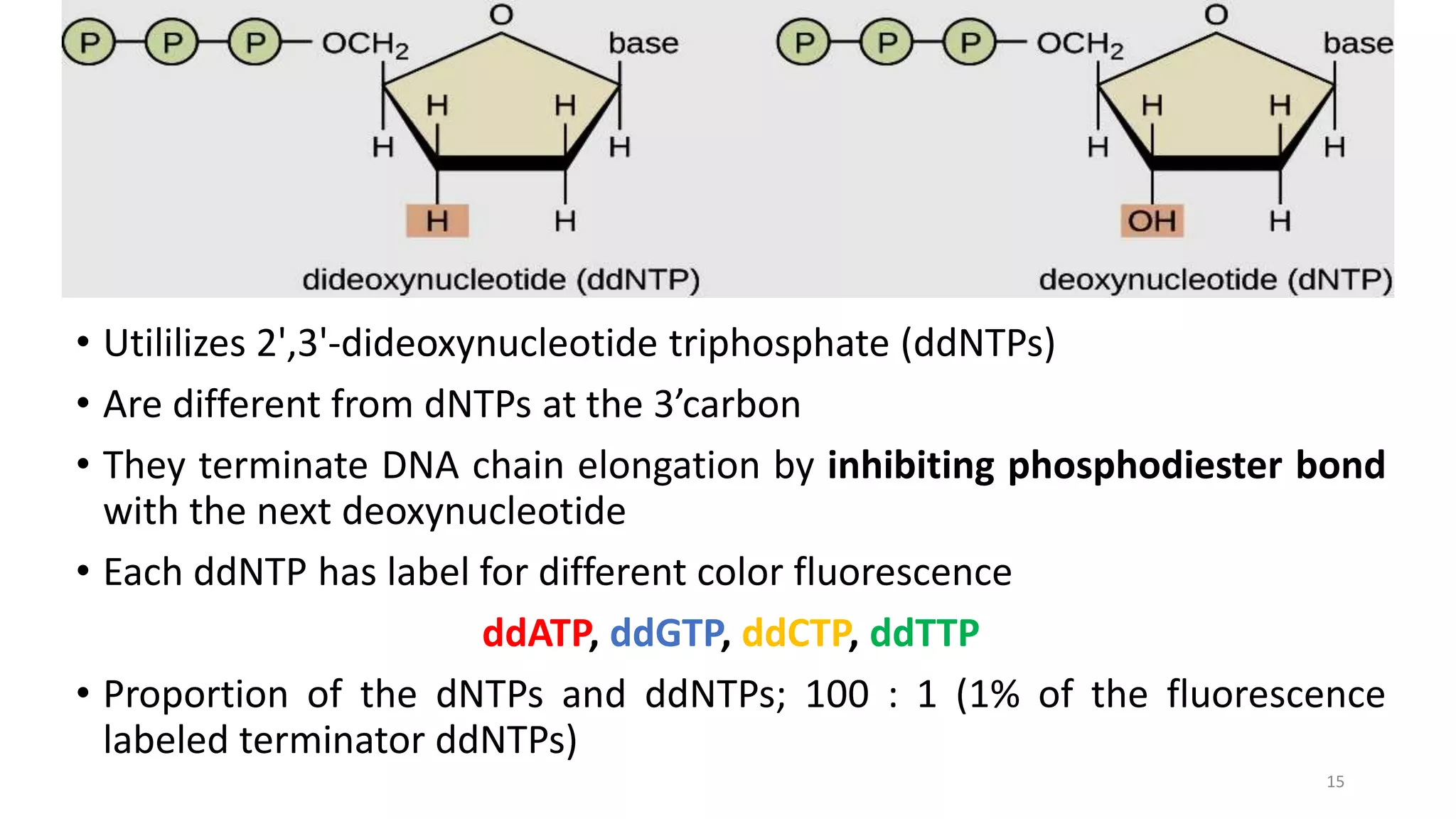 DNA Sequencing | PPTX