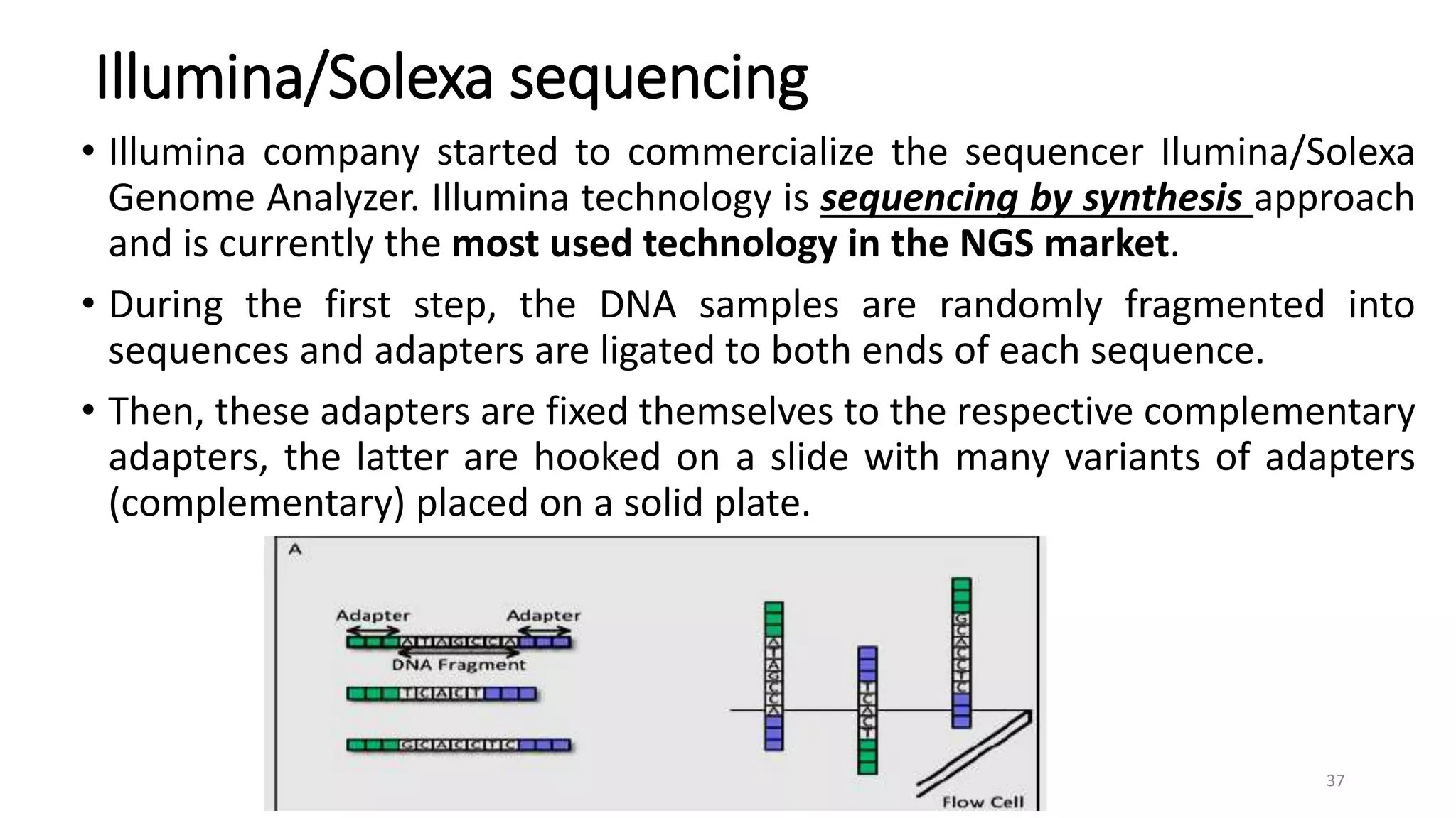 DNA Sequencing | PPTX