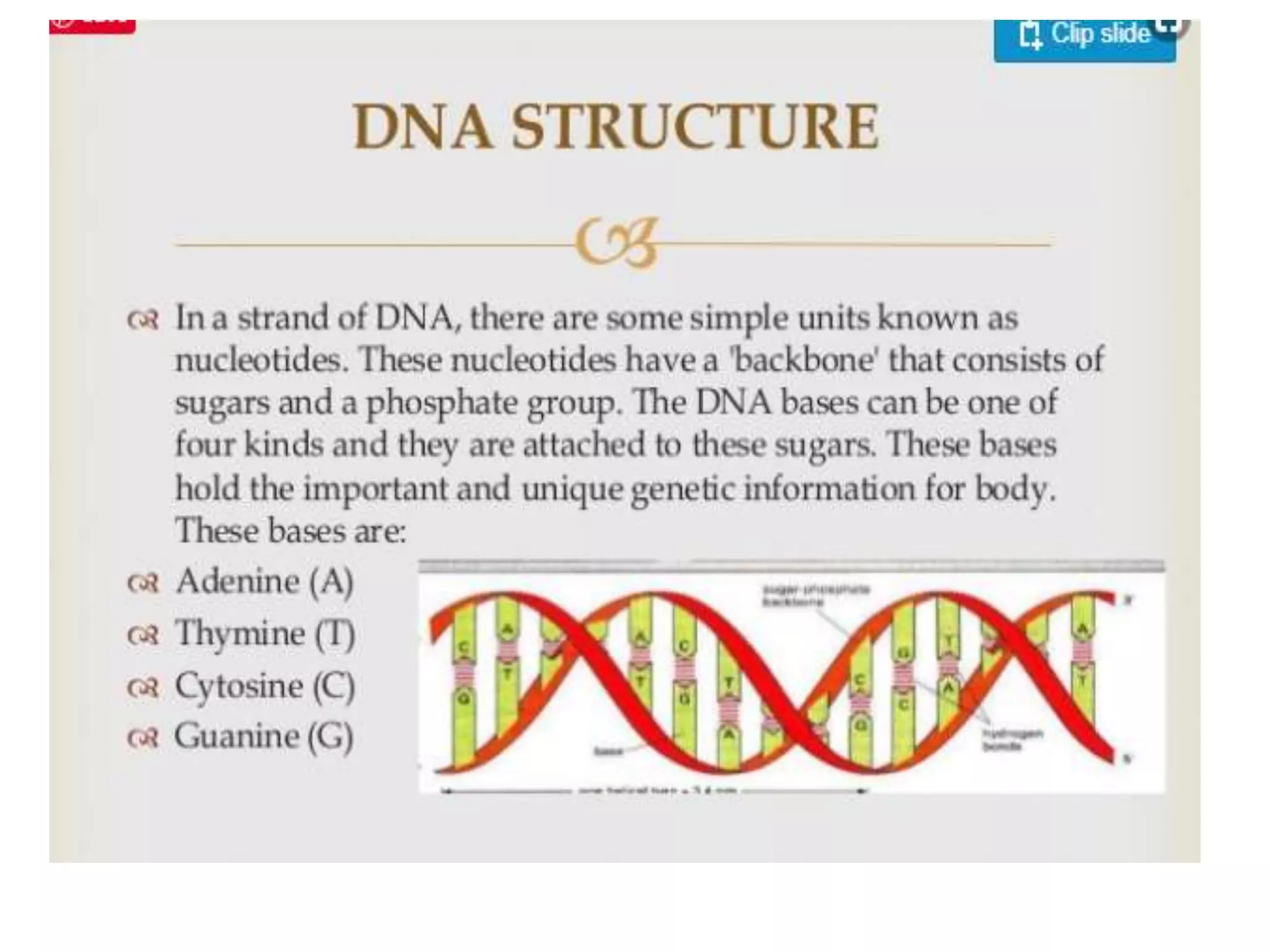 Dna sequencing | PPTX | Genetics | Science