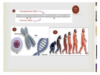Dna sequencing | PPTX | Genetics | Science