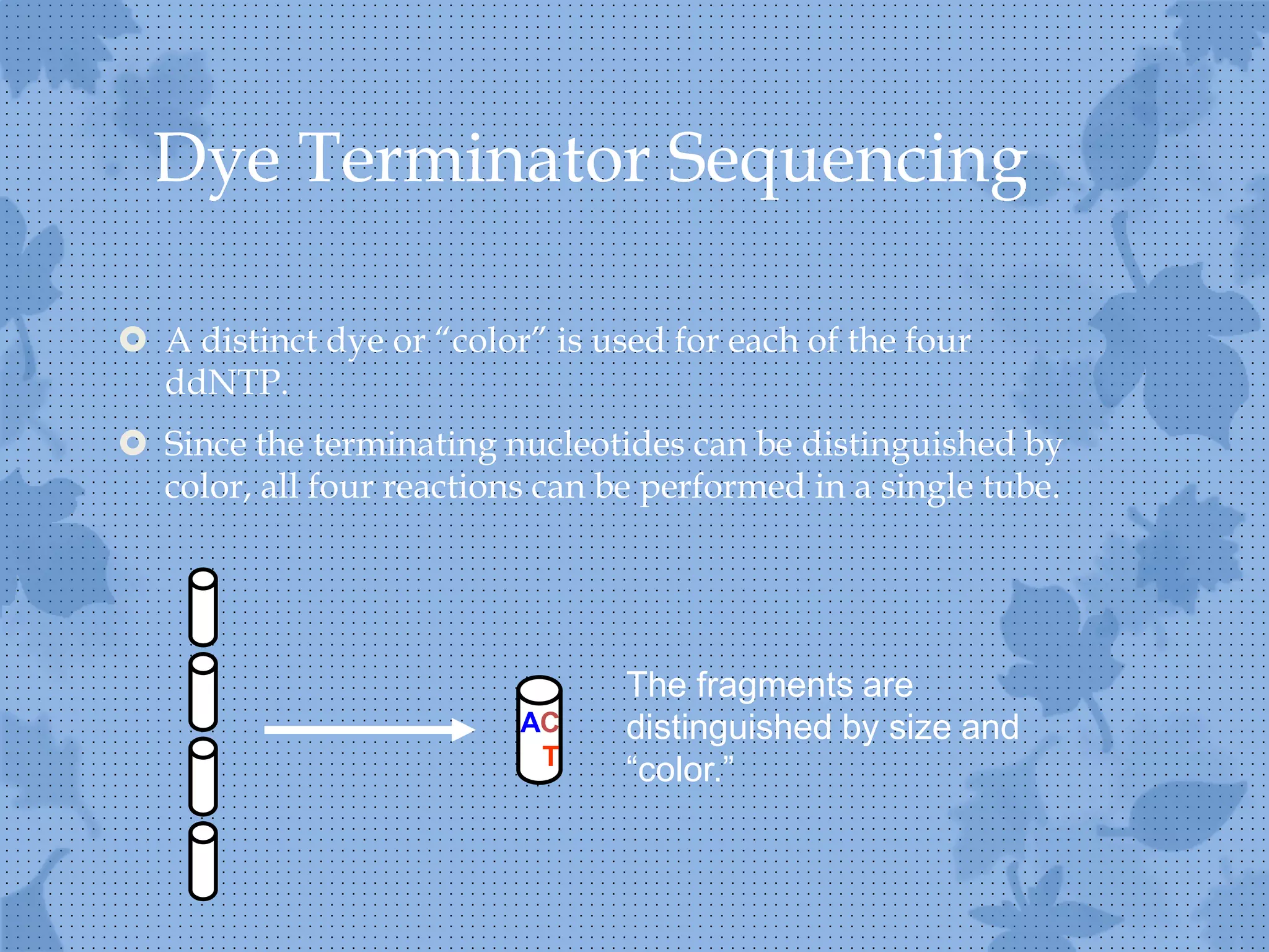 Dna sequencing AND ANALYSIS | PPT