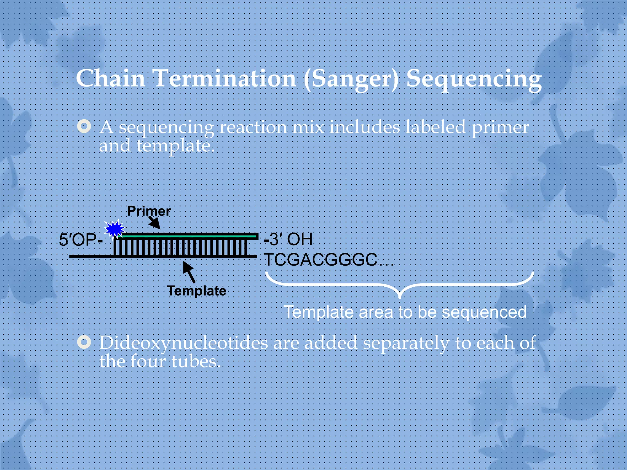 Dna sequencing AND ANALYSIS | PPT