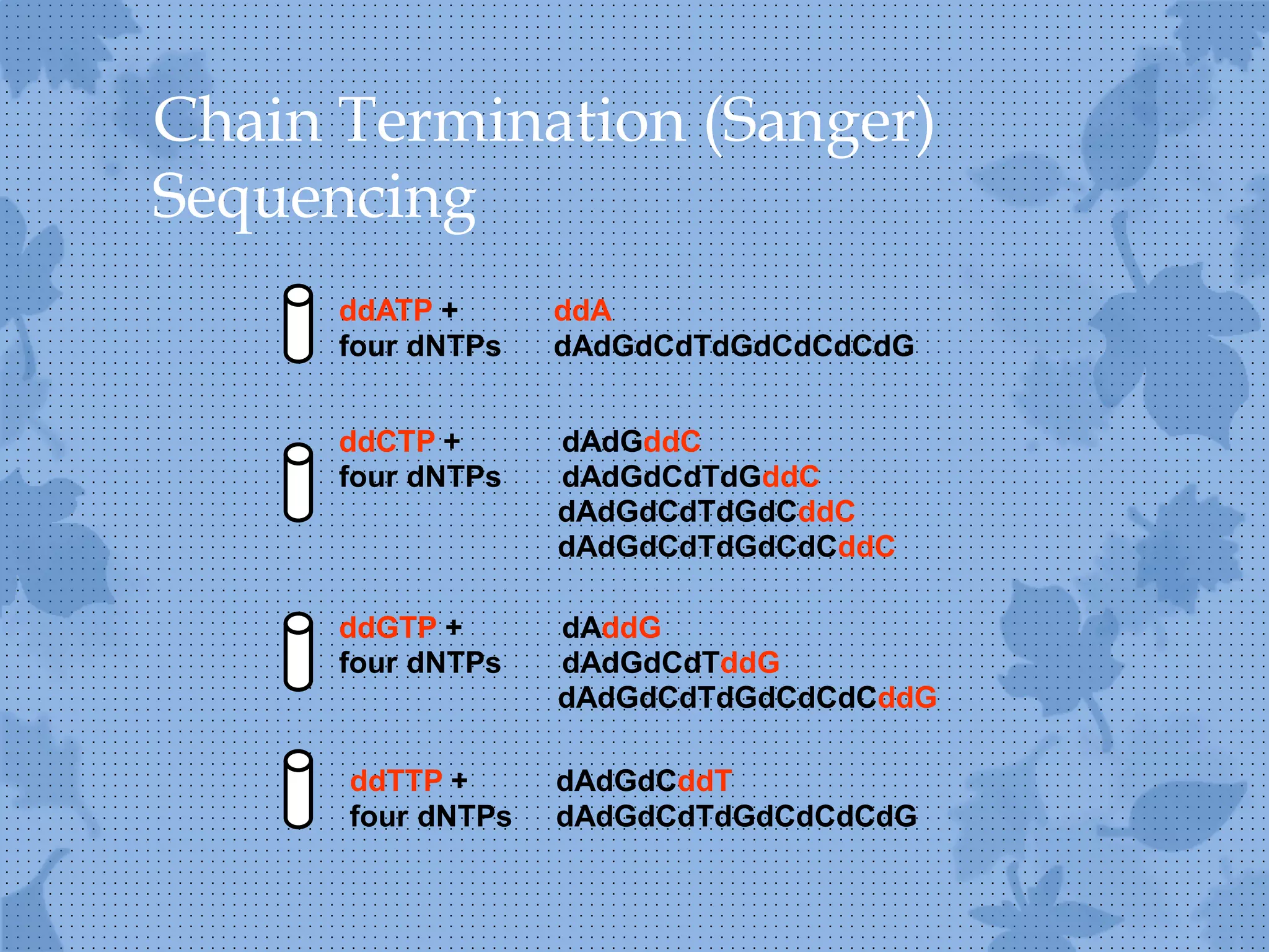 Dna sequencing AND ANALYSIS | PPT