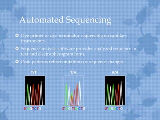Dna sequencing AND ANALYSIS | PPT