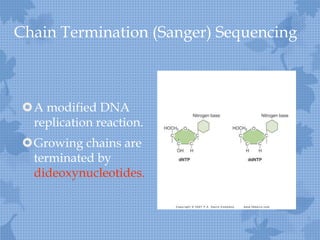 Dna sequencing AND ANALYSIS | PPT
