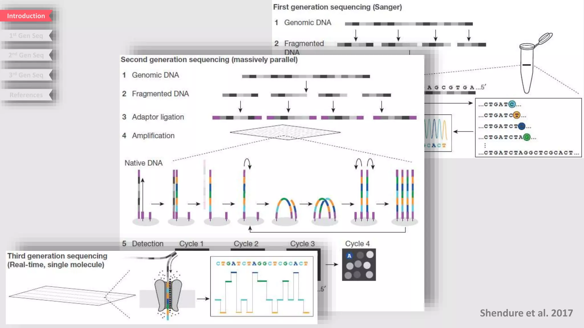 Dna sequencing | PPT
