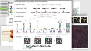 Dna sequencing | PPTX
