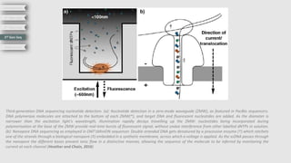 Dna sequencing | PPT