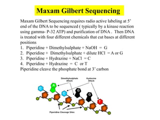 Dna sequencing | PPTX
