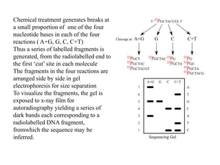 Dna sequencing | PPTX
