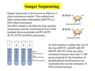 Dna sequencing | PPTX
