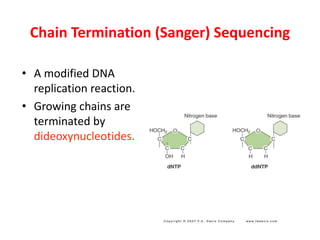 DNA sequencing | PPT