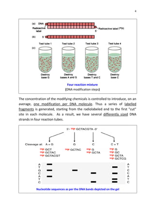 DNA Sequencing.pdf