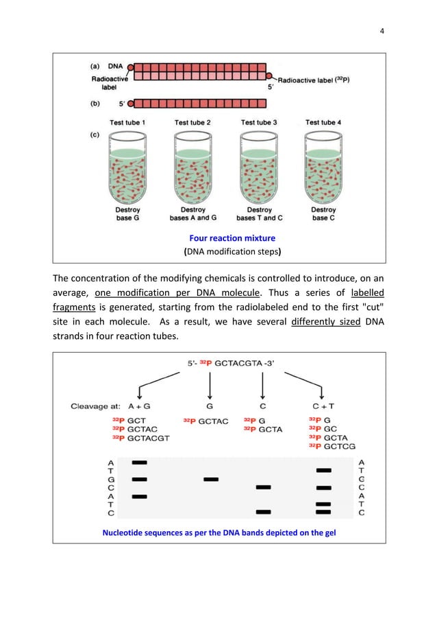 DNA Sequencing.pdf