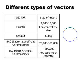 DNA Sequencing.ppt