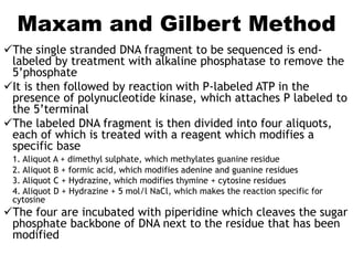 DNA Sequencing.ppt