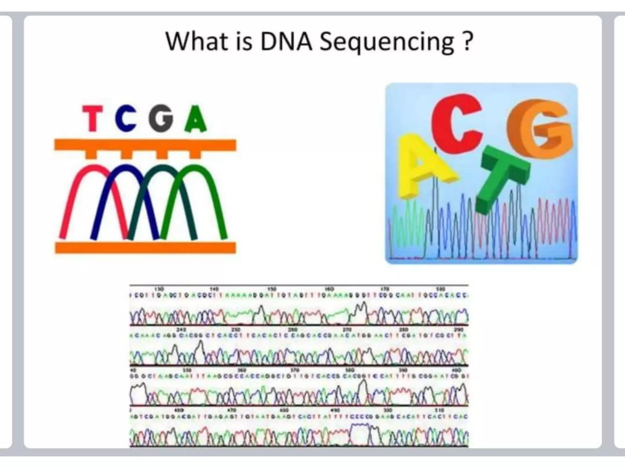 DNA sequencing.pptx | Genetics | Science