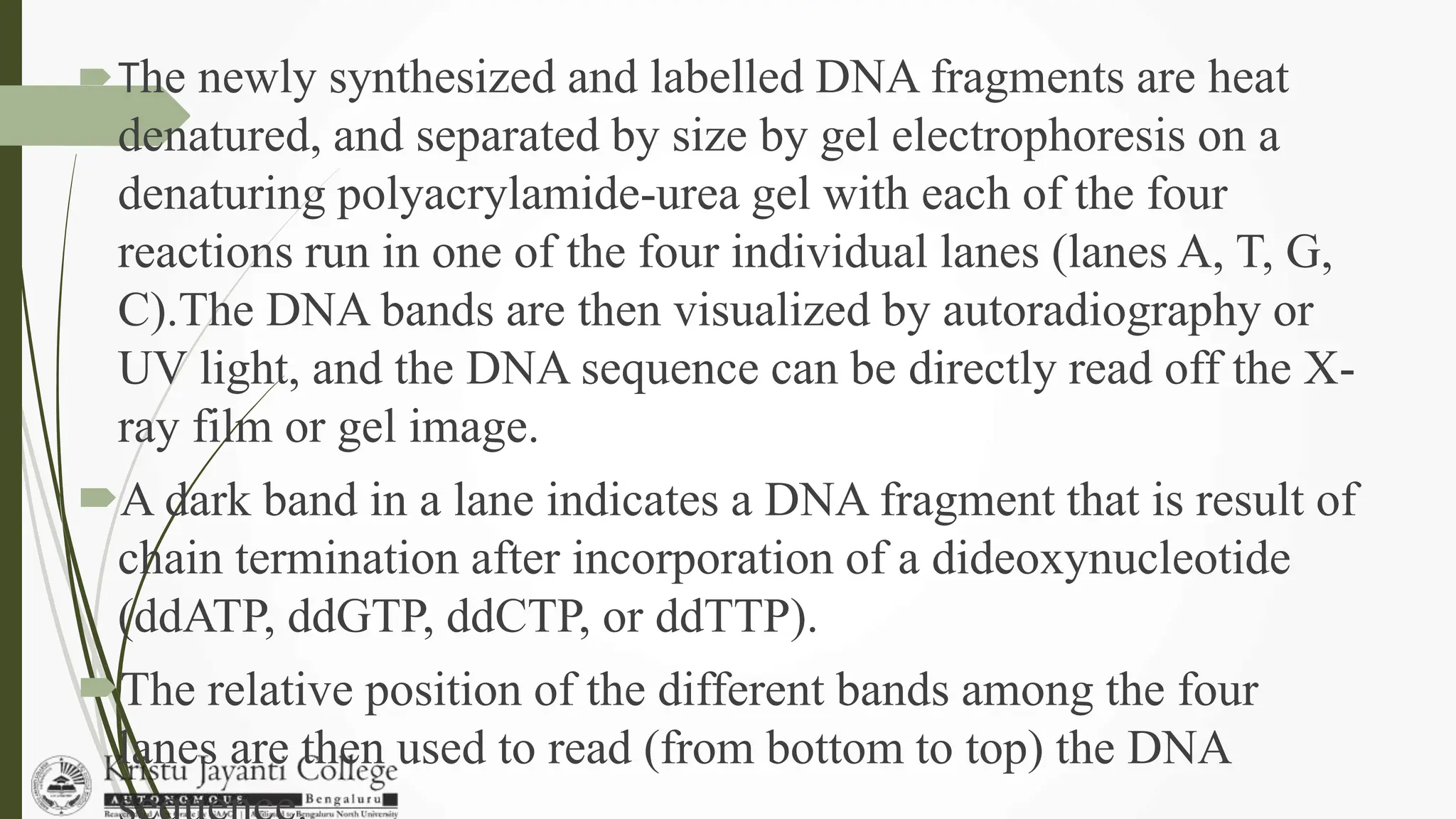 DNA Sequencing.ppt