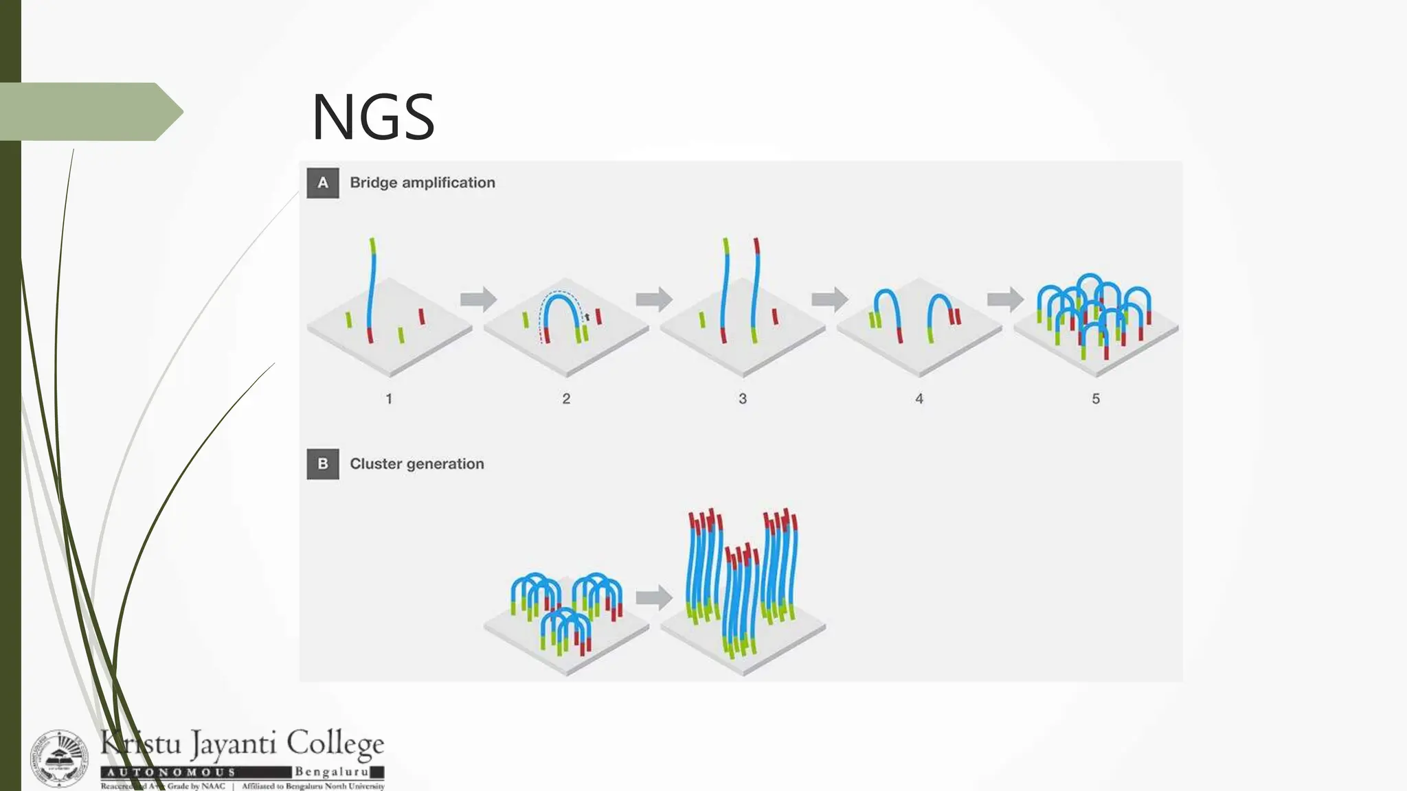 DNA Sequencing.ppt