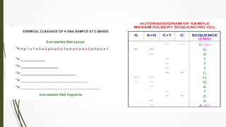 DNA Sequencing.ppt