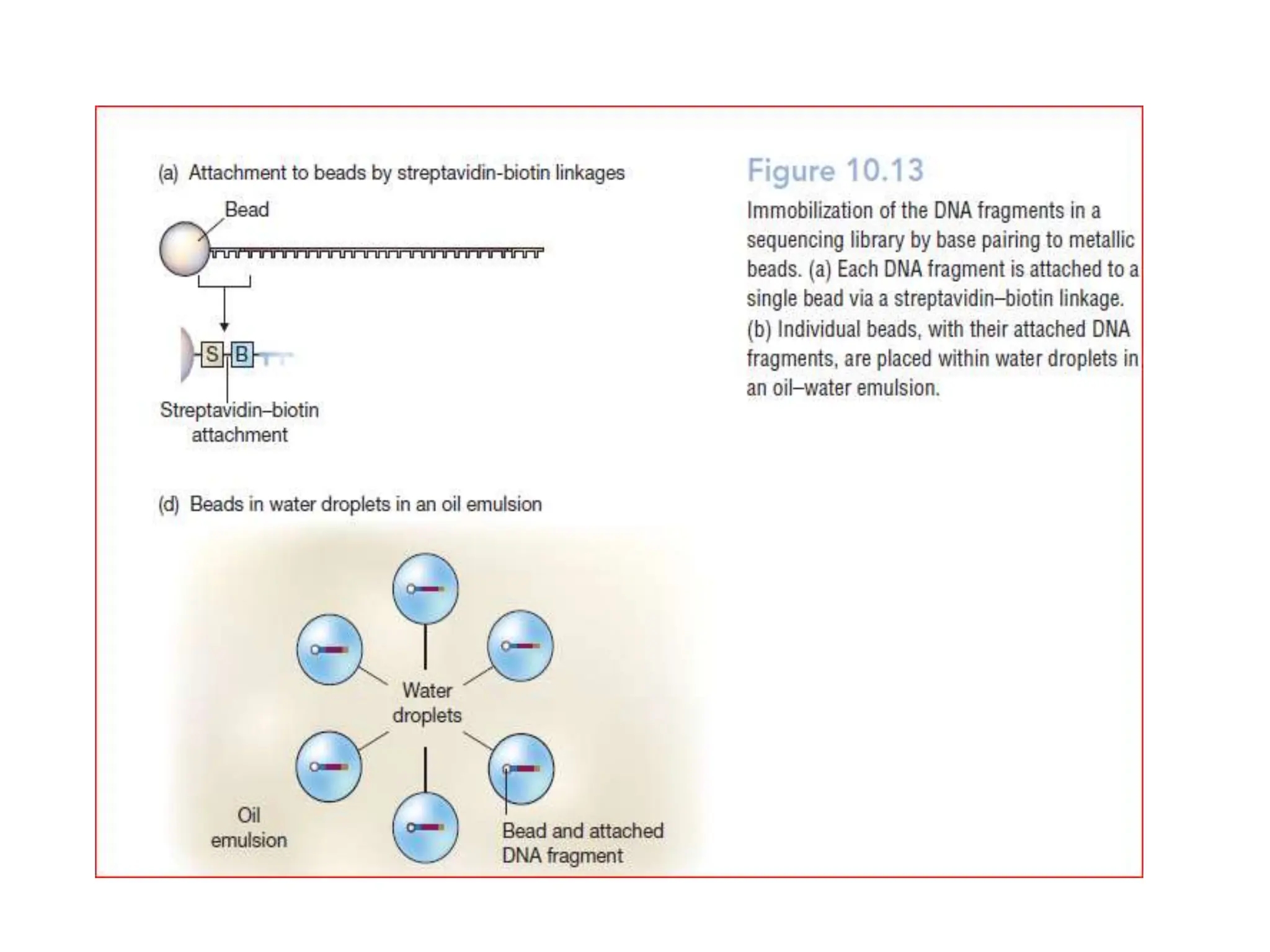 the general laboratory technique for determining the exact sequence of ...