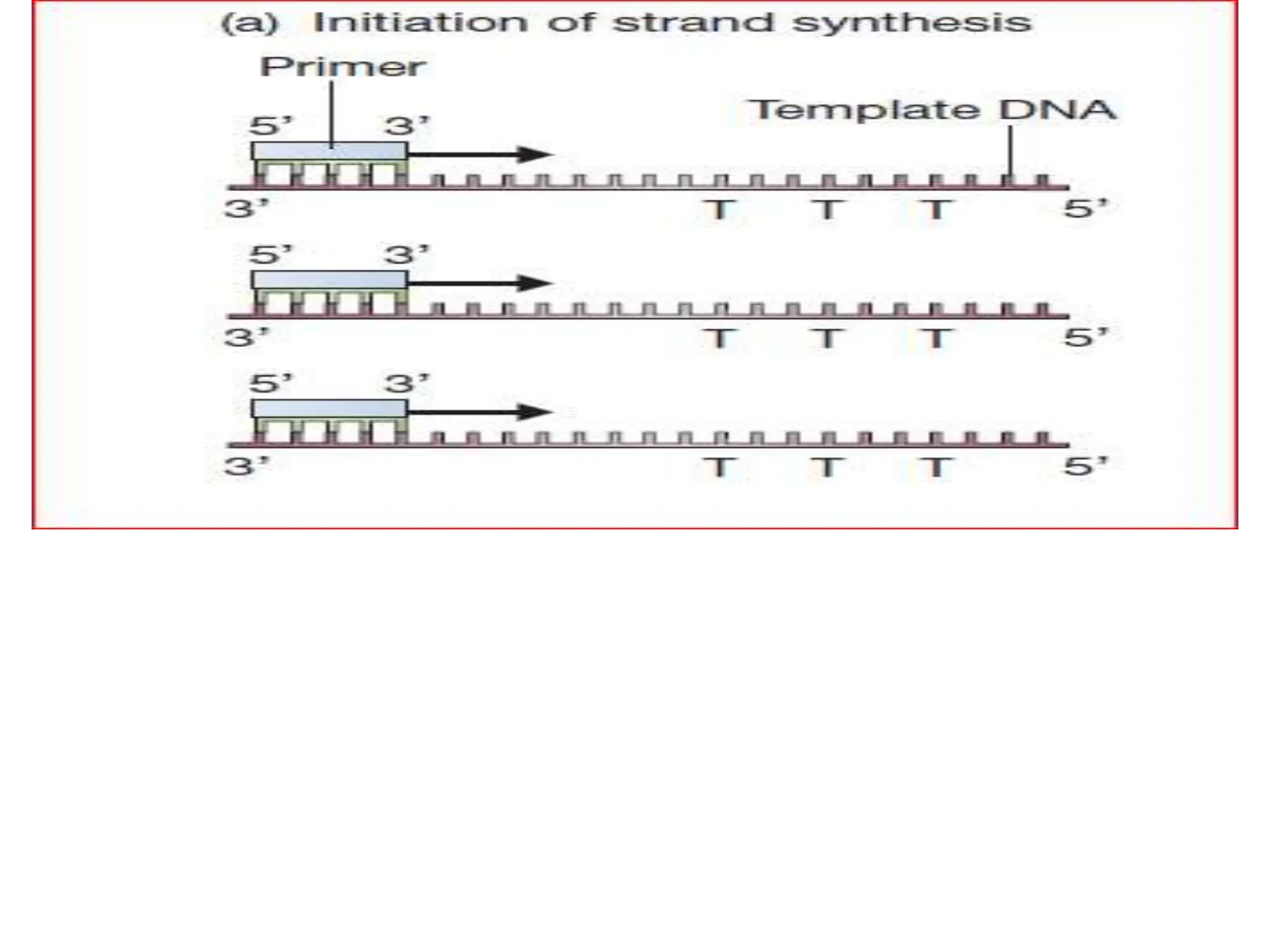 the general laboratory technique for determining the exact sequence of ...