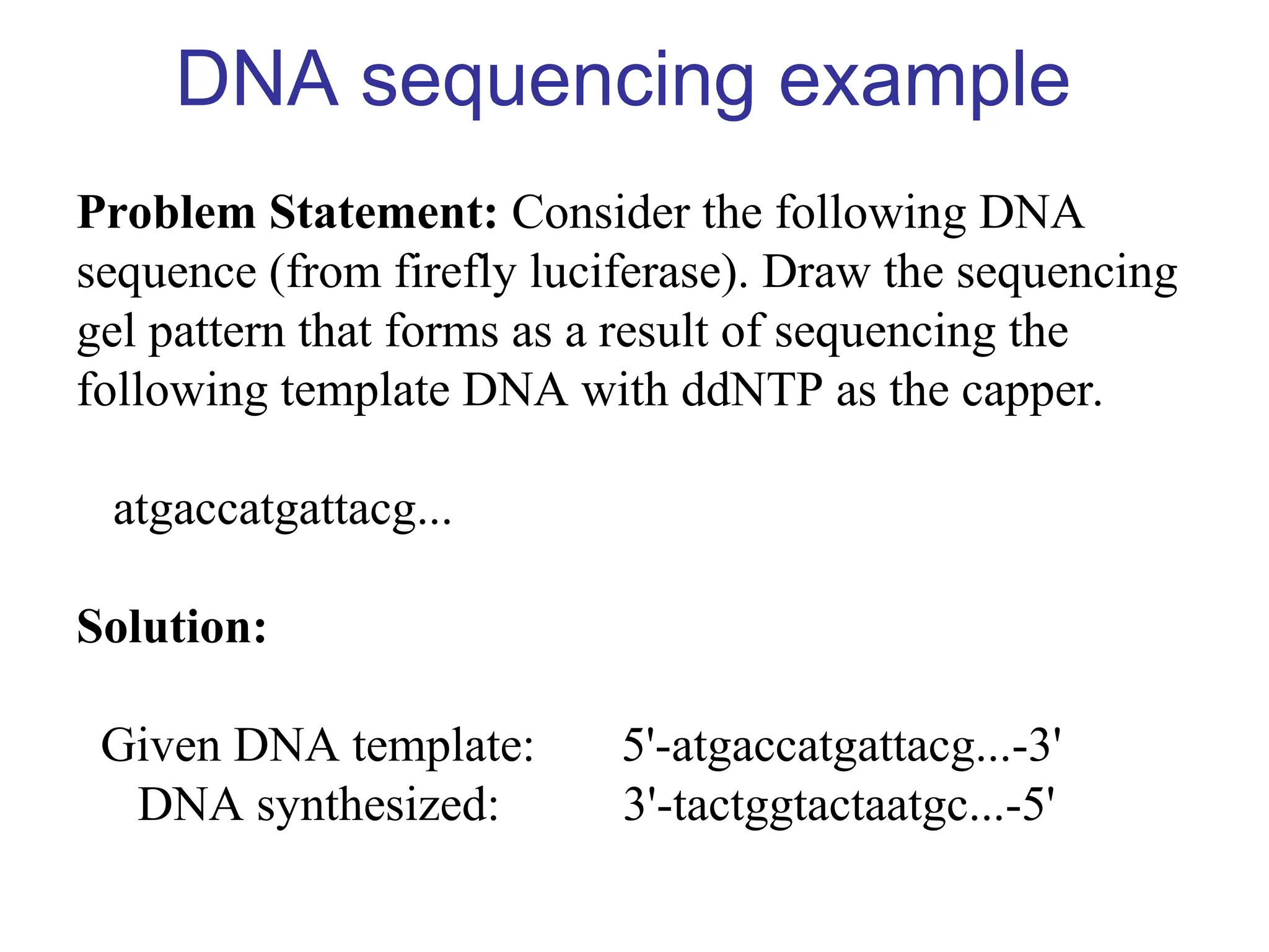 DNA sequencing.ppt...................... | PPT