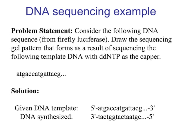 DNA sequencing.ppt...................... | PPT