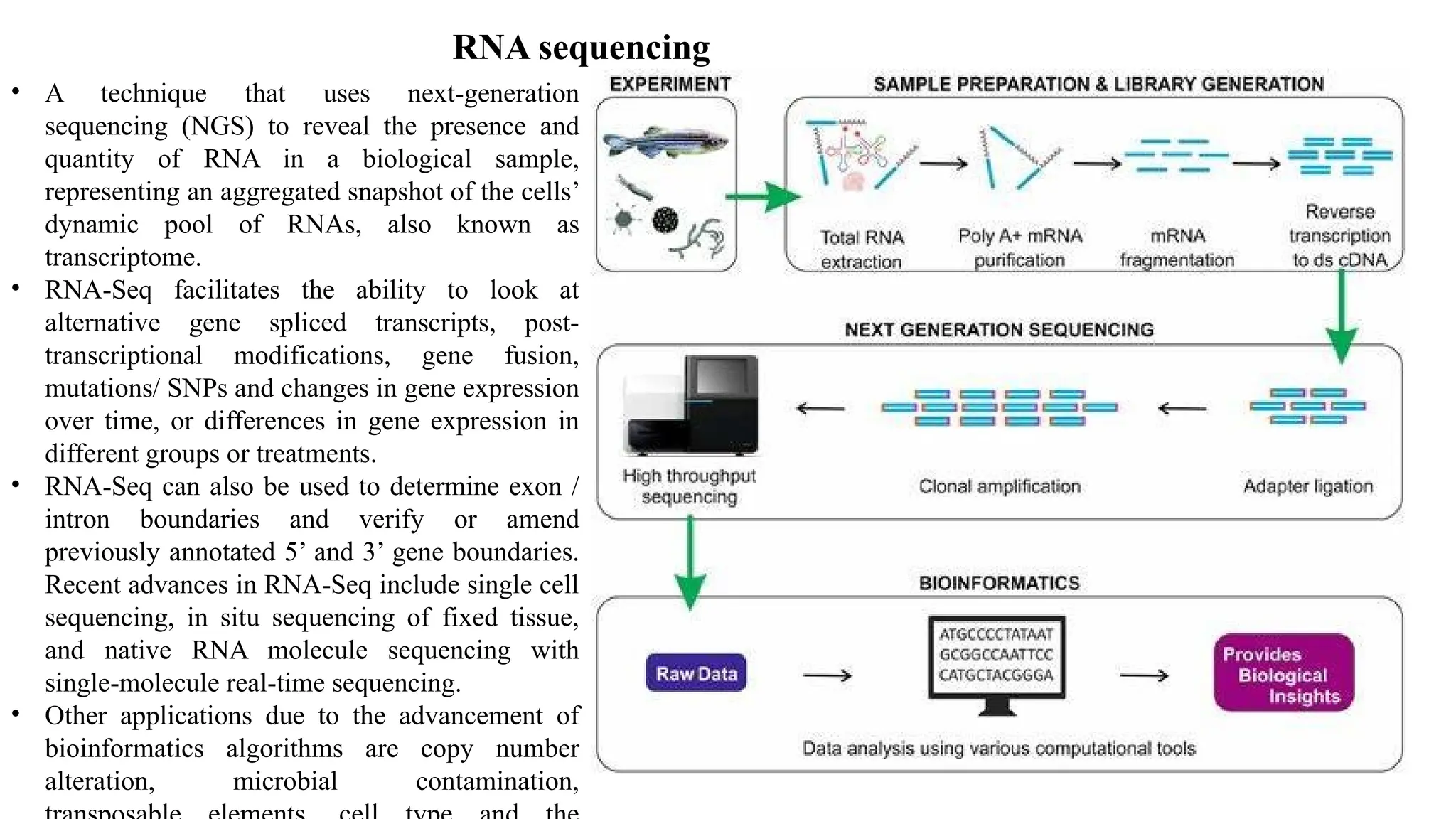 DNA sequencing.pptxnvbxgxgchjvjbkjnknll.m. | PPTX