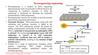 DNA sequencing.pptxnvbxgxgchjvjbkjnknll.m. | PPT