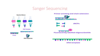 DNA Sequencing- Sanger's Method of DNA Sequencing.pptx