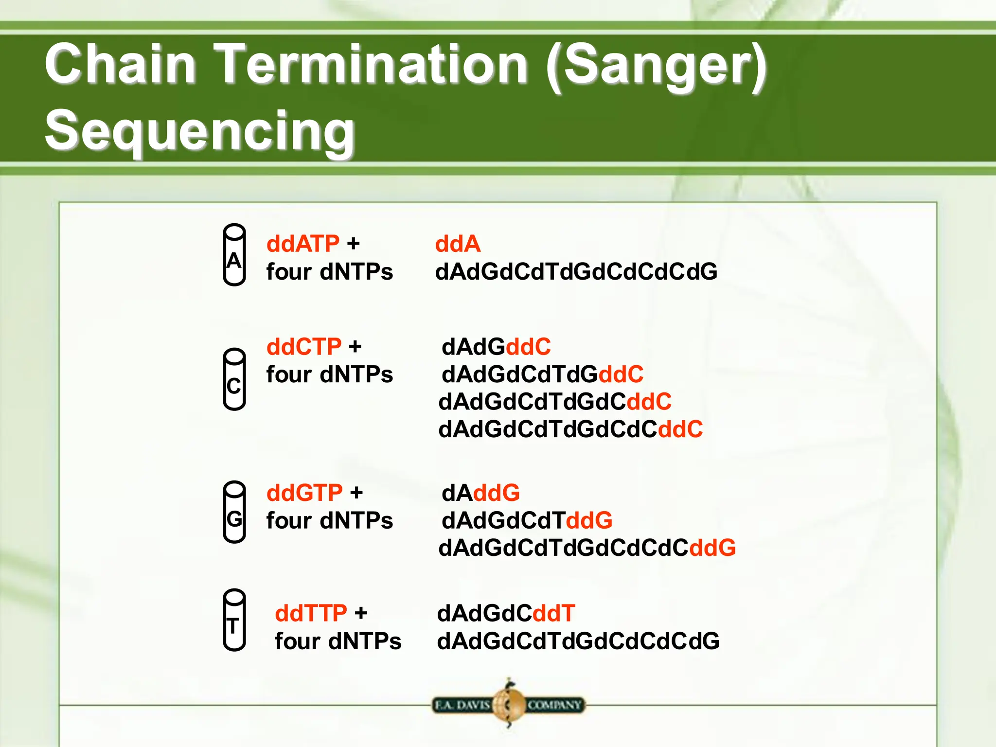 DNAsequencing method to sequence nucleotide sequence base pairs DNA ...