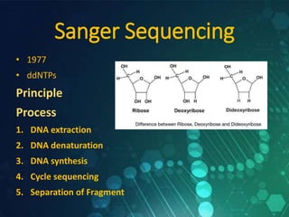 DNA Sequencing-WPS Office.pptx