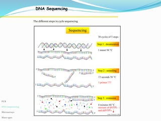 DNA SEQUENCING (1).pptx