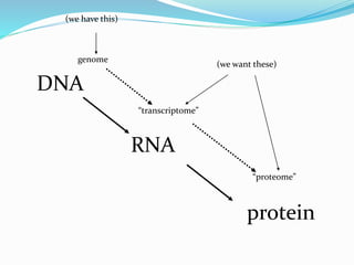 DNA SEQUENCING (1).pptx