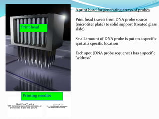 DNA SEQUENCING (1).pptx | Chemistry | Science