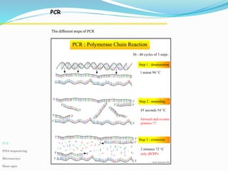 DNA SEQUENCING (1).pptx