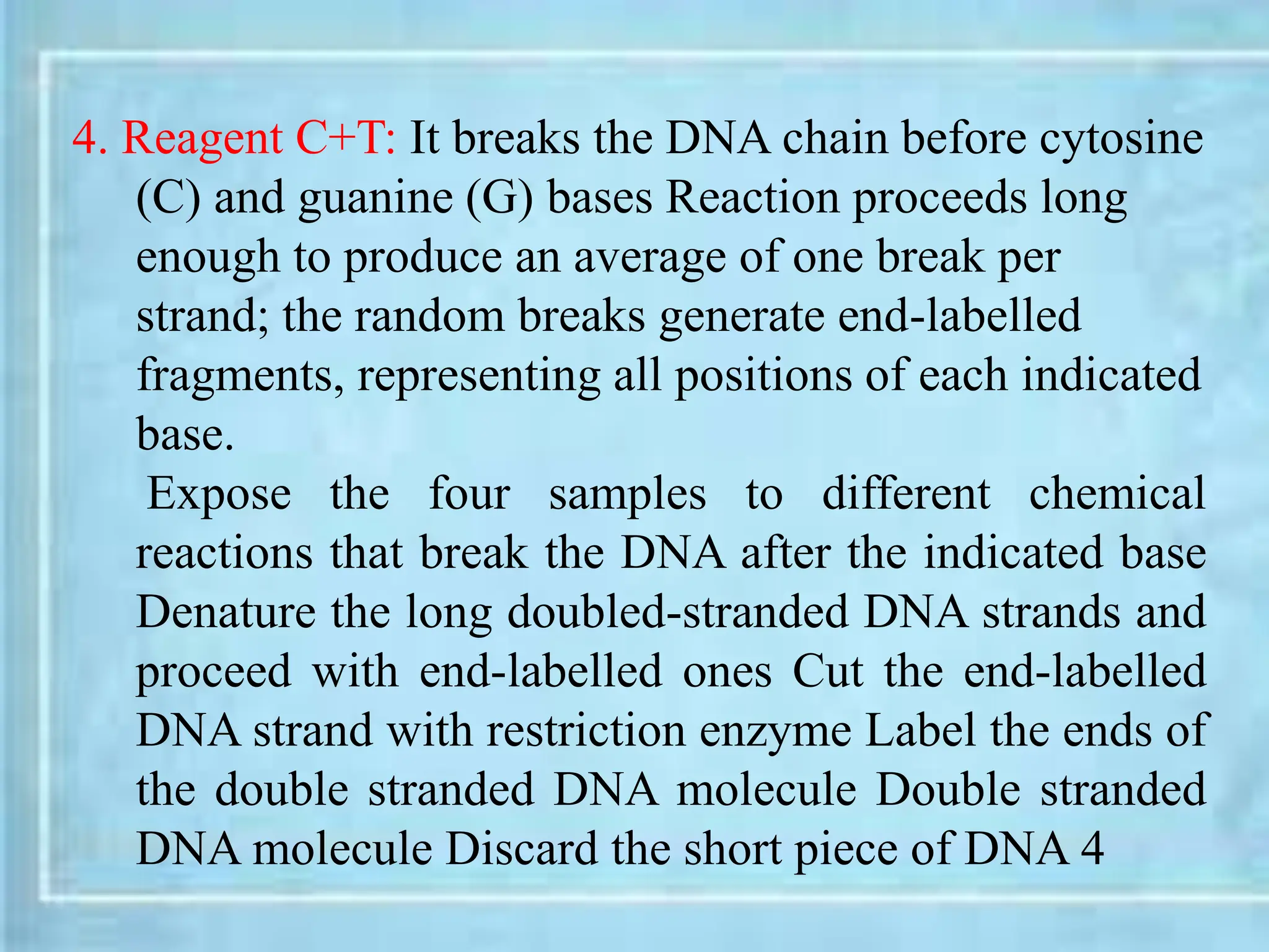 DNA SEQUENCING (1).pptx