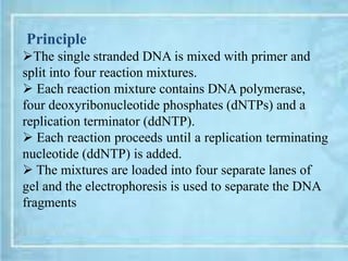 DNA SEQUENCING (1).pptx