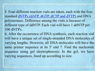 DNA SEQUENCING (1).pptx