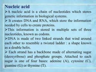 DNA SEQUENCING (1).pptx