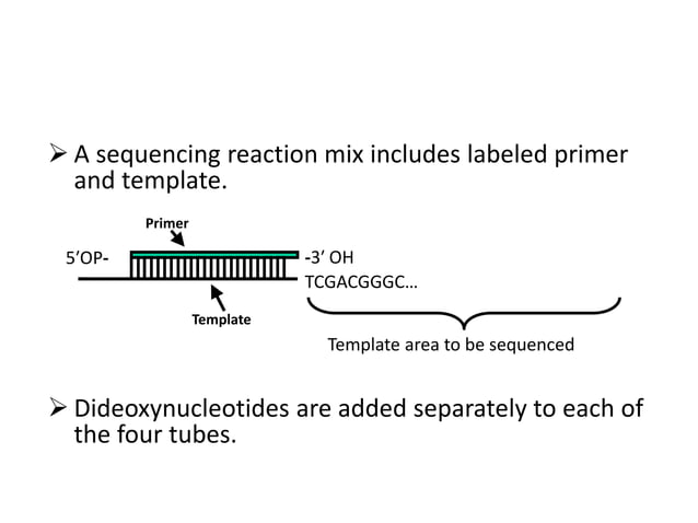 Dna sequencing and its types | PPTX | Chemistry | Science
