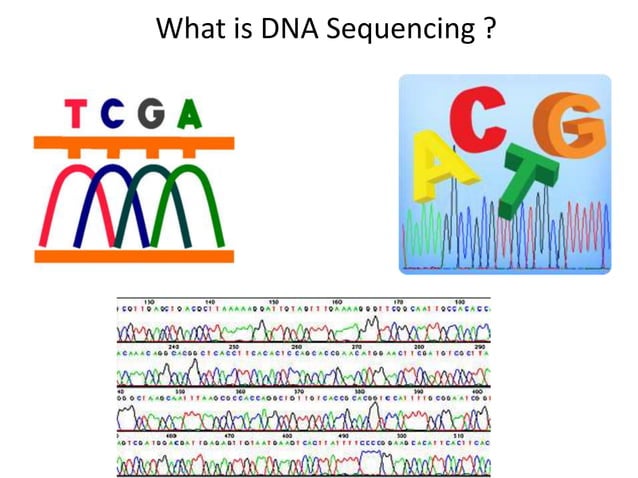 Dna sequencing and its types | PPTX | Chemistry | Science
