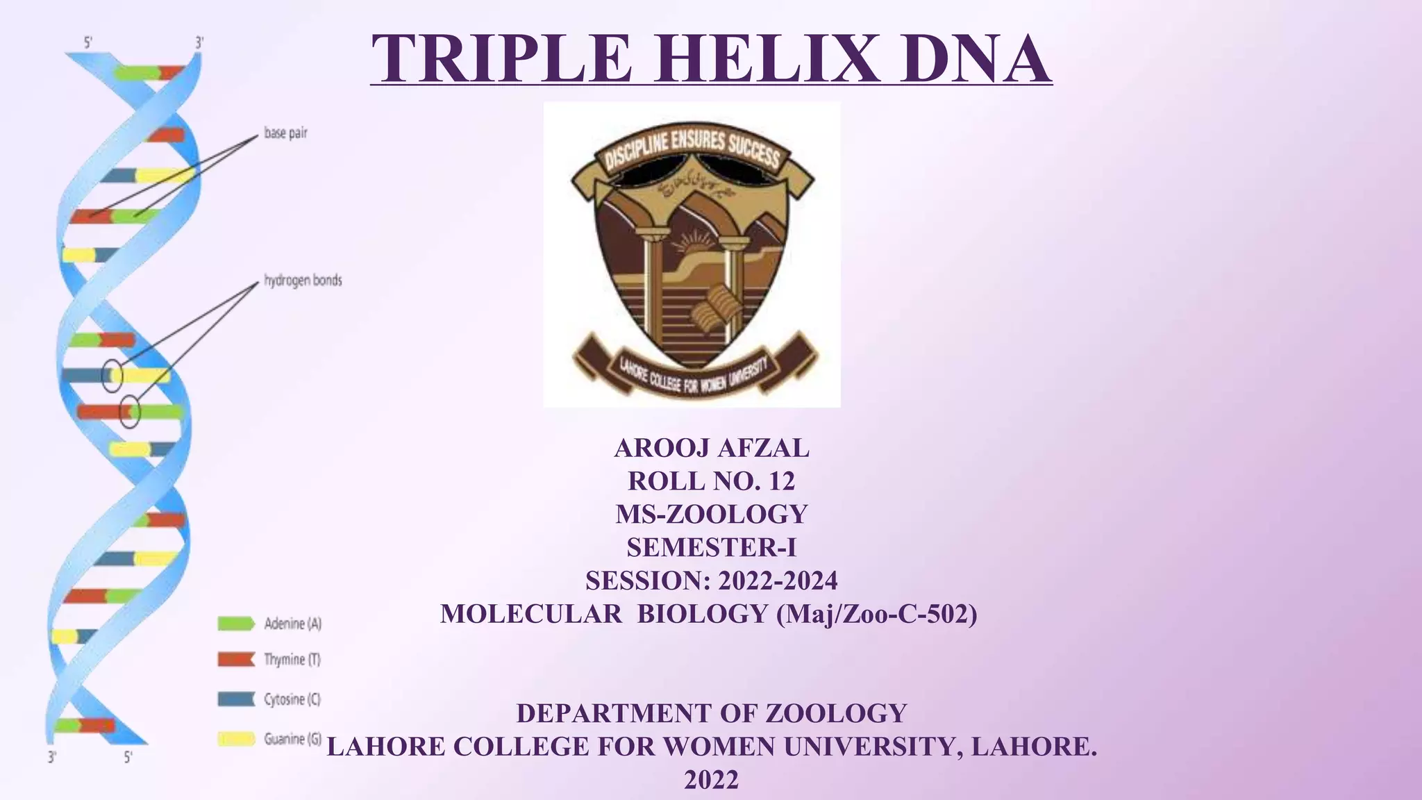 TRIPPLE HELIX DNA | PPTX | Chemistry | Science