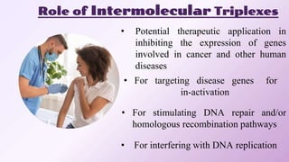 TRIPPLE HELIX DNA | PPTX | Chemistry | Science