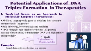 TRIPPLE HELIX DNA | PPTX | Chemistry | Science