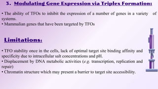 TRIPPLE HELIX DNA | PPTX